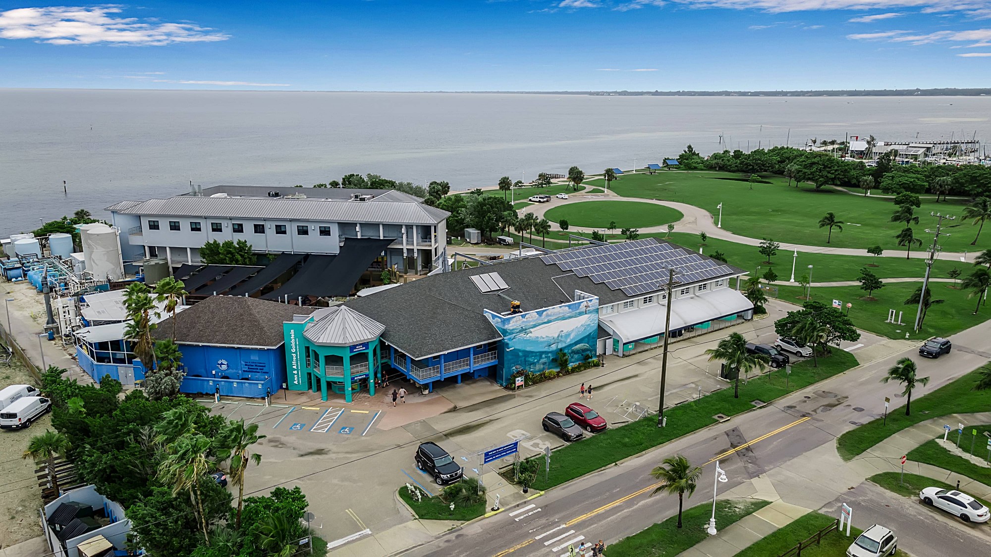 Learn About the Oceans at Mote Aquarium | Wagner Realty