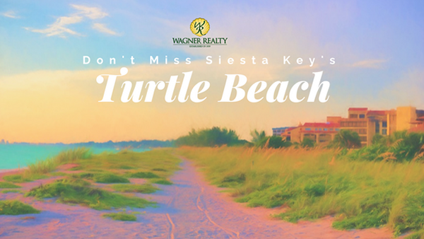 Don't Miss Siesta Key's Turtle Beach!