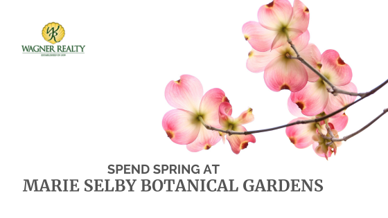 Spend Spring at Marie Selby Botanical Gardens | Wagner Realty